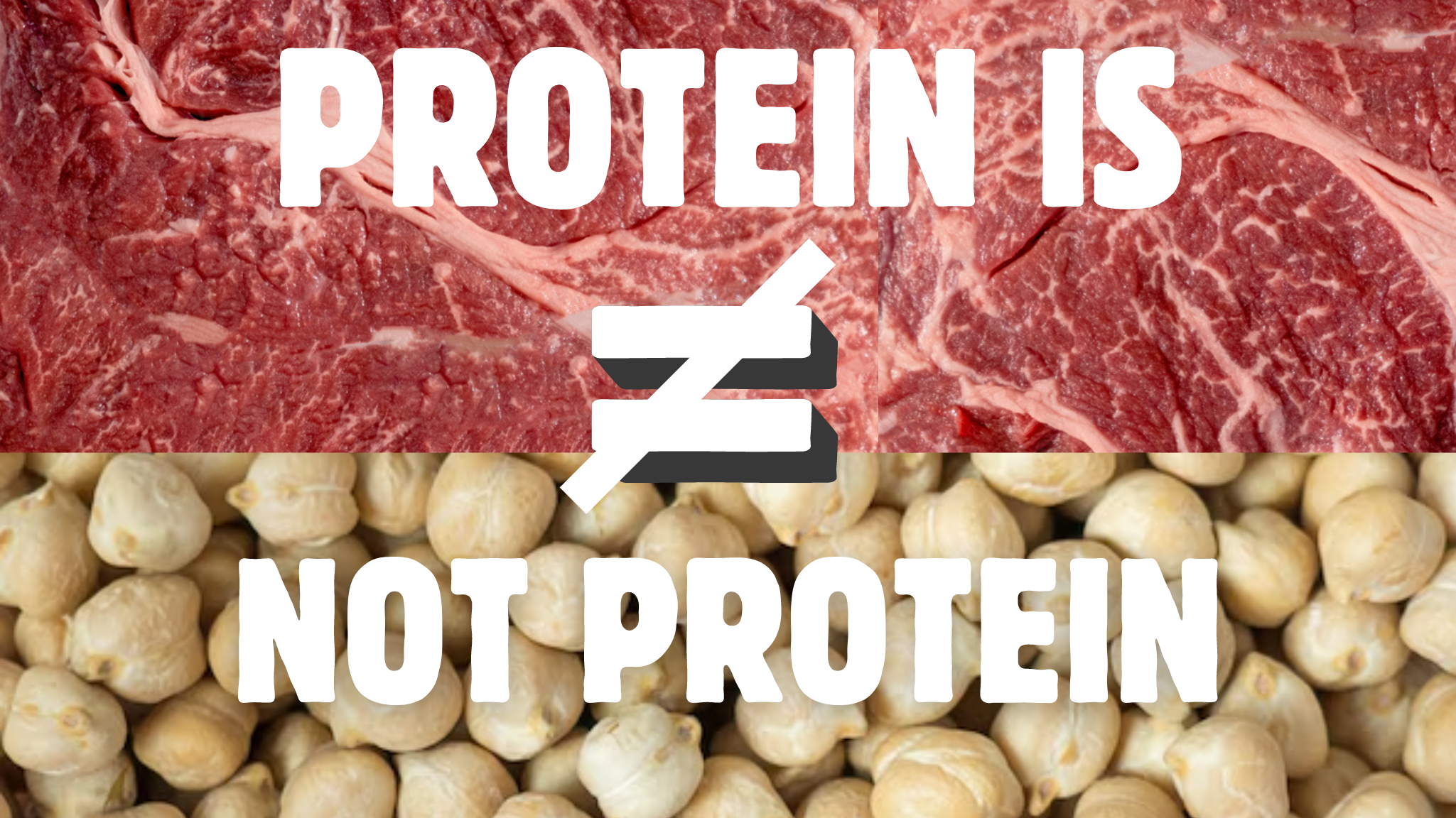 WHY NOT ALL PROTEINS ARE CREATED EQUAL – Doki